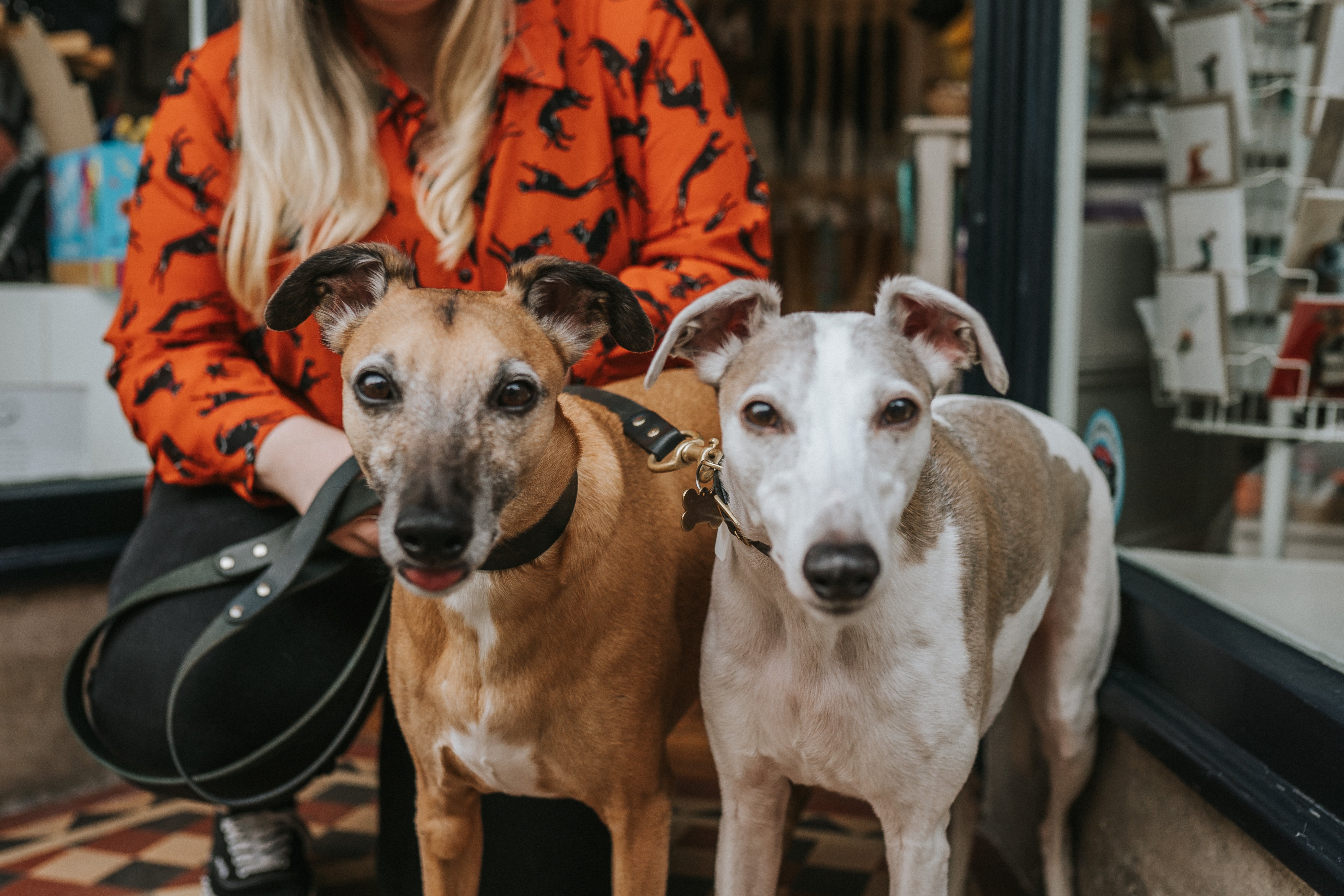 Our Favourites – Winston James Woof